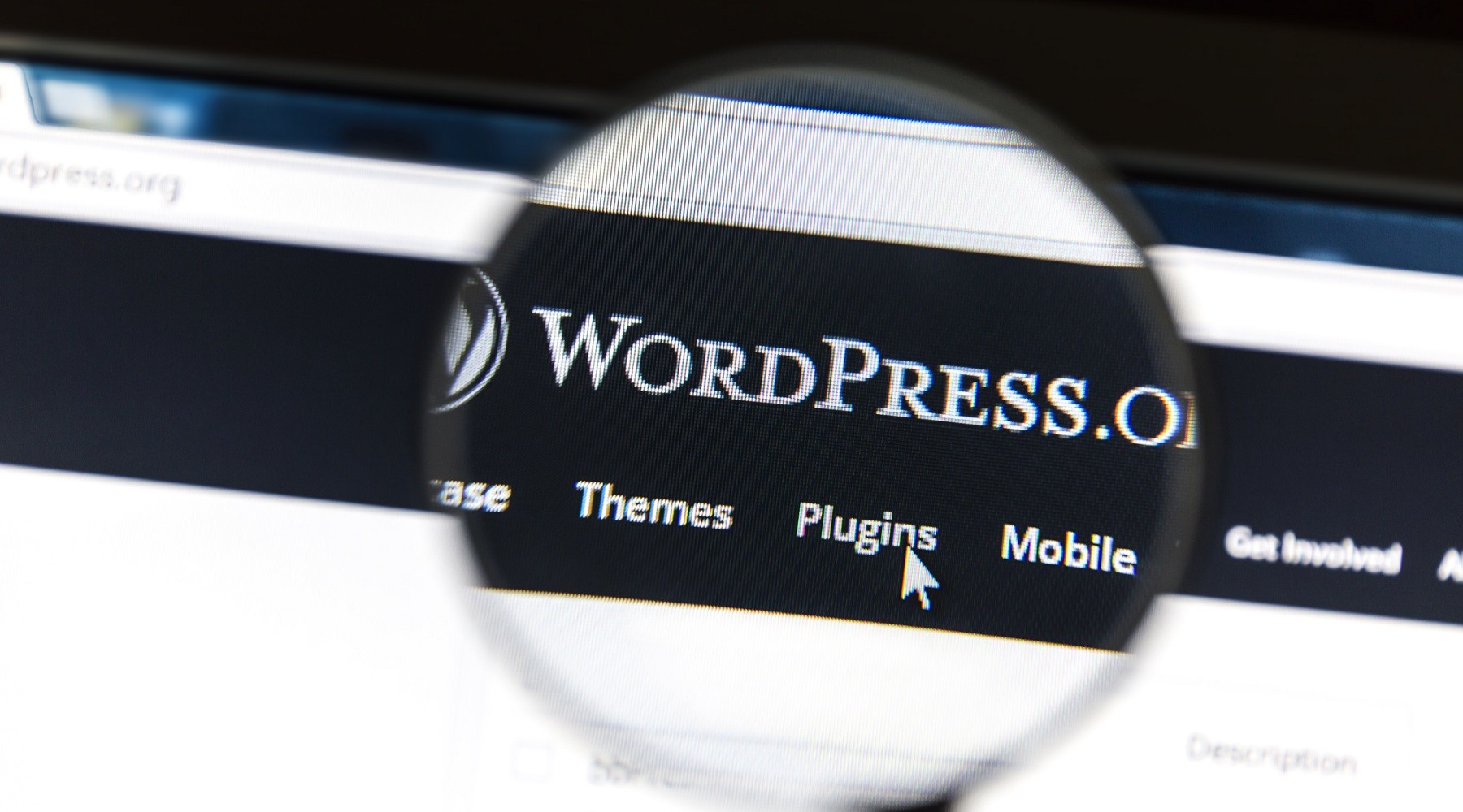 WordPress REST API - creating an app for publishing posts
