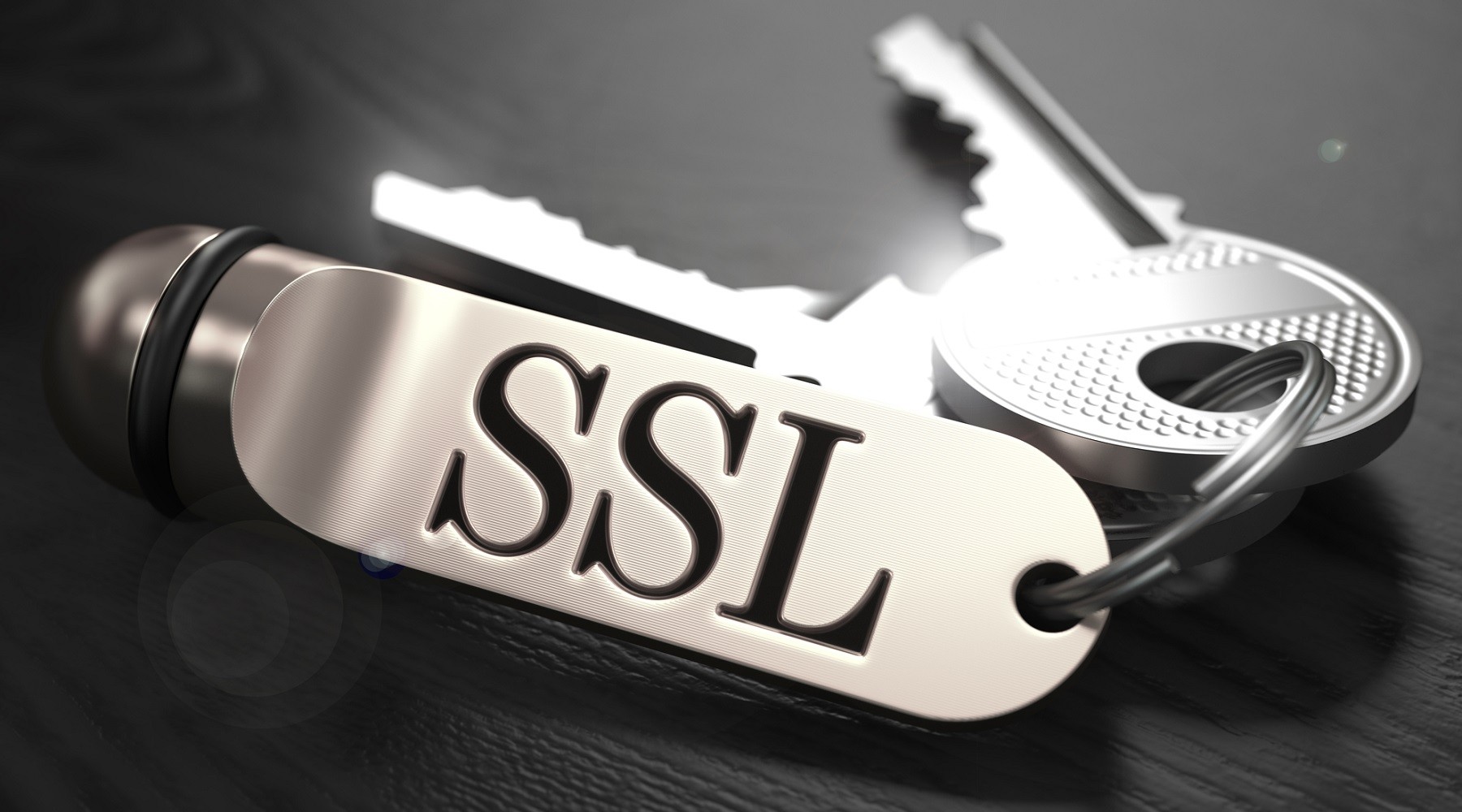 SSL-based threats and how to protect yourself | Blog MasterDC