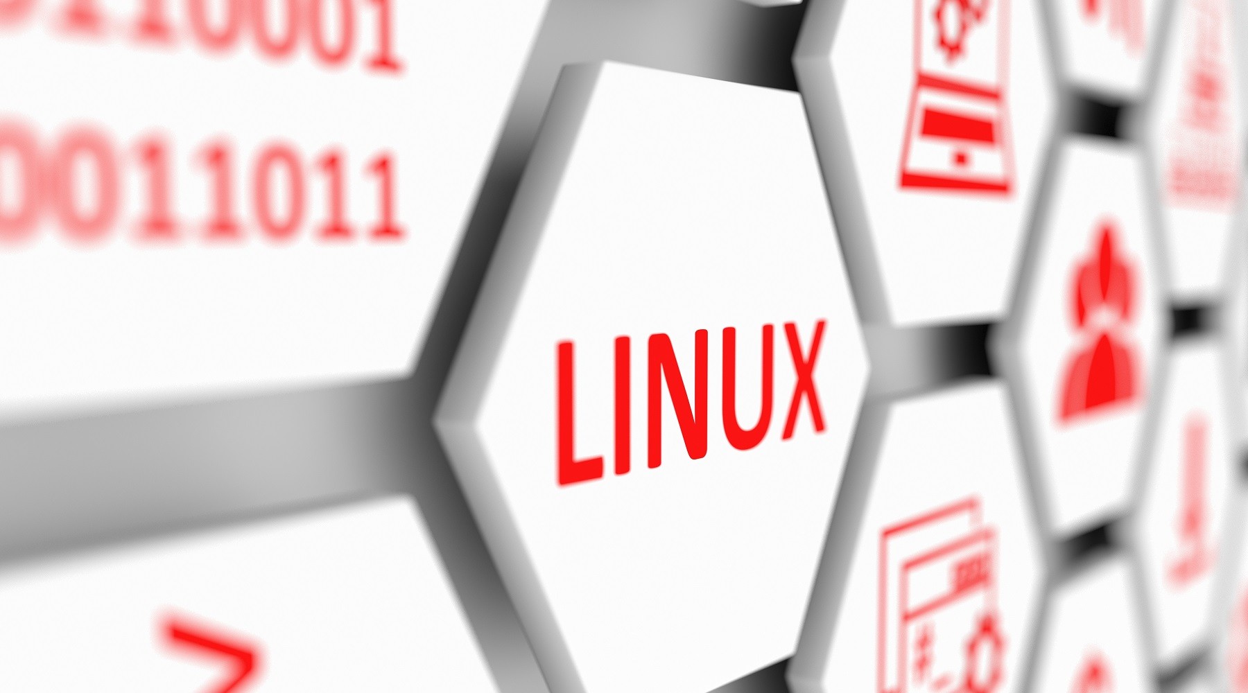 Debian, Ubuntu či Rocky Linux – znáte oblíbené linuxové distribuce?